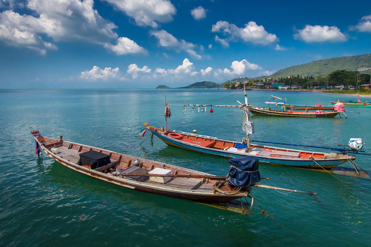 Tours, Trips, Activities, Taxi Transfer on Koh Samui & Krabi