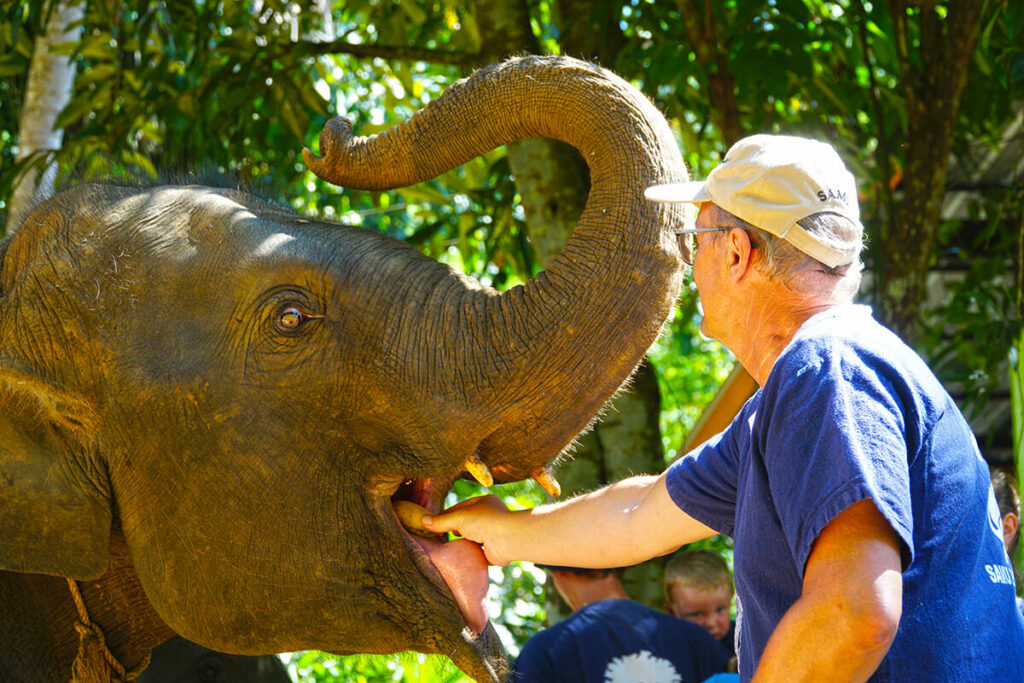 Elephant Mud Spa Experience on Koh Samui