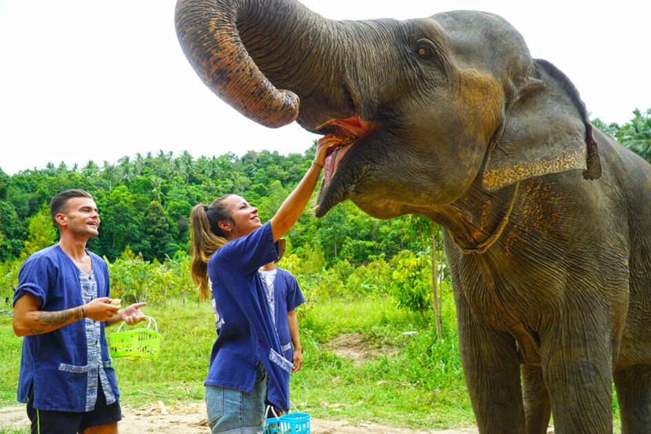 Elephant Mud Spa Experience on Koh Samui