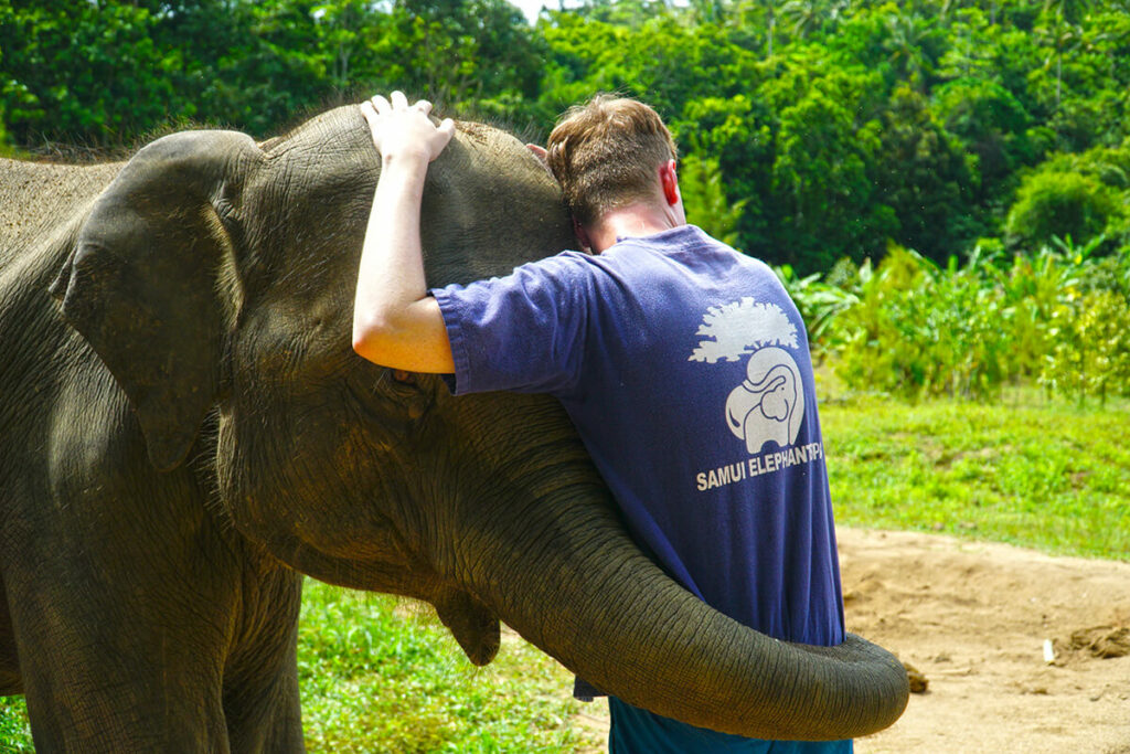 Elephant Mud Spa Experience on Koh Samui