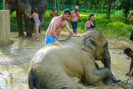 Elephant Mud Spa Experience on Koh Samui