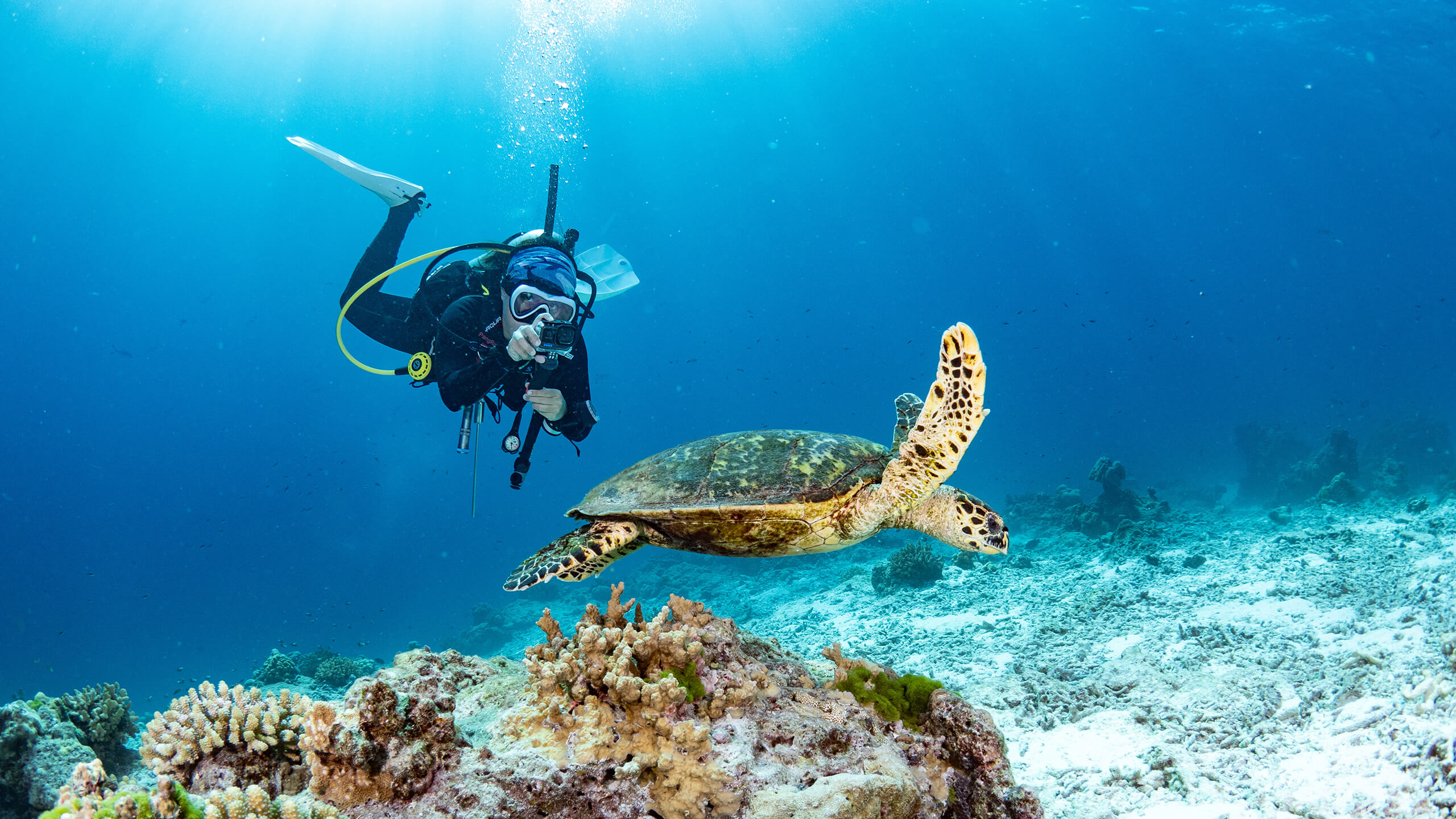 Scuba Diving around Southern Thailand