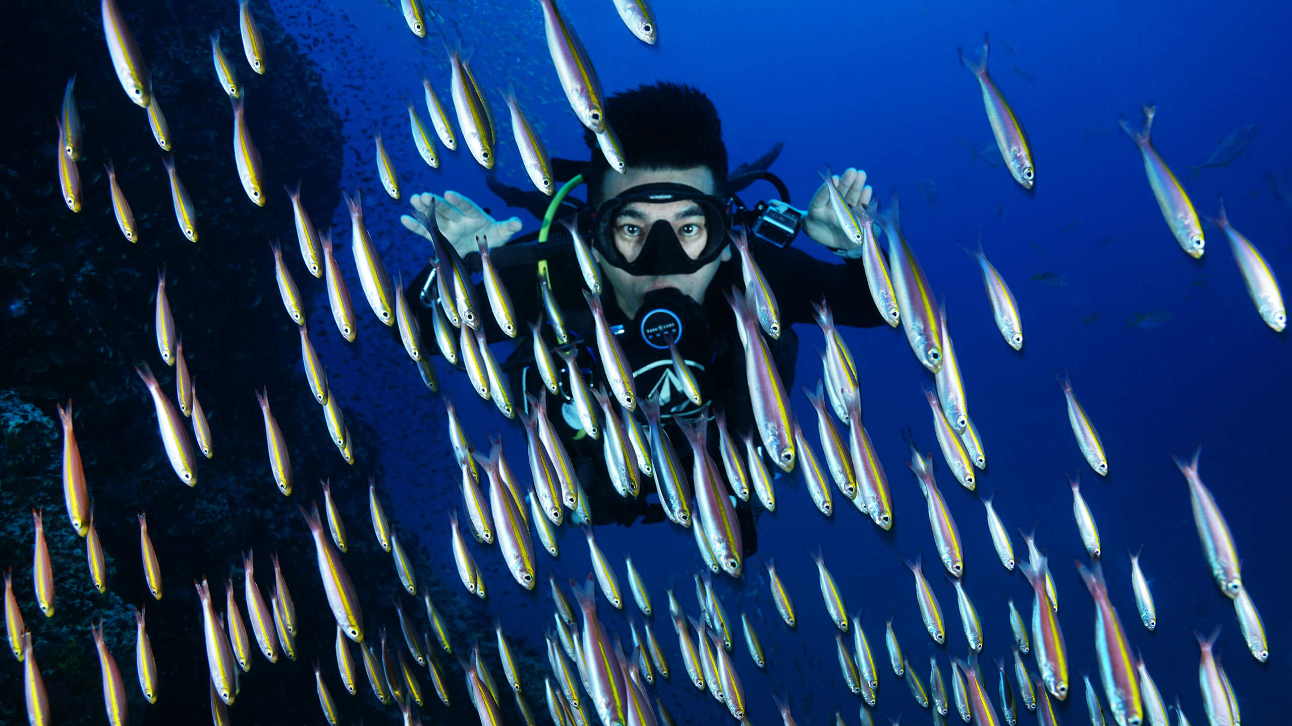 Koh Samui Diving Courses and Diving Trips