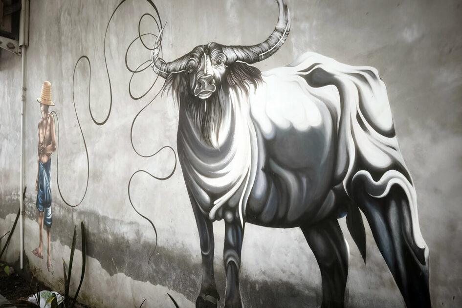 Nathon Town & Old Town in Koh Samui