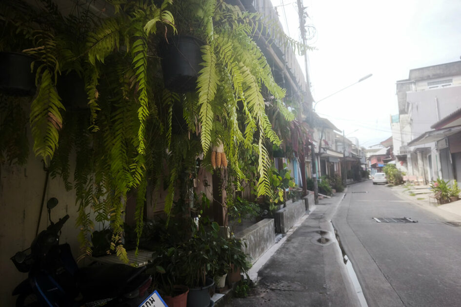 Nathon Town & Old Town in Koh Samui