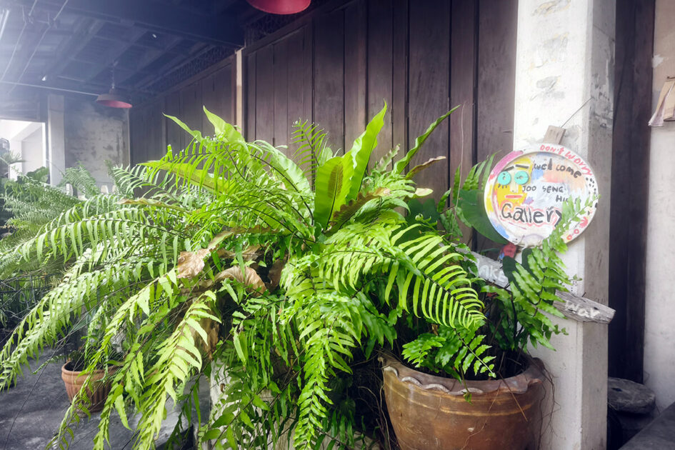 Nathon Town & Old Town in Koh Samui